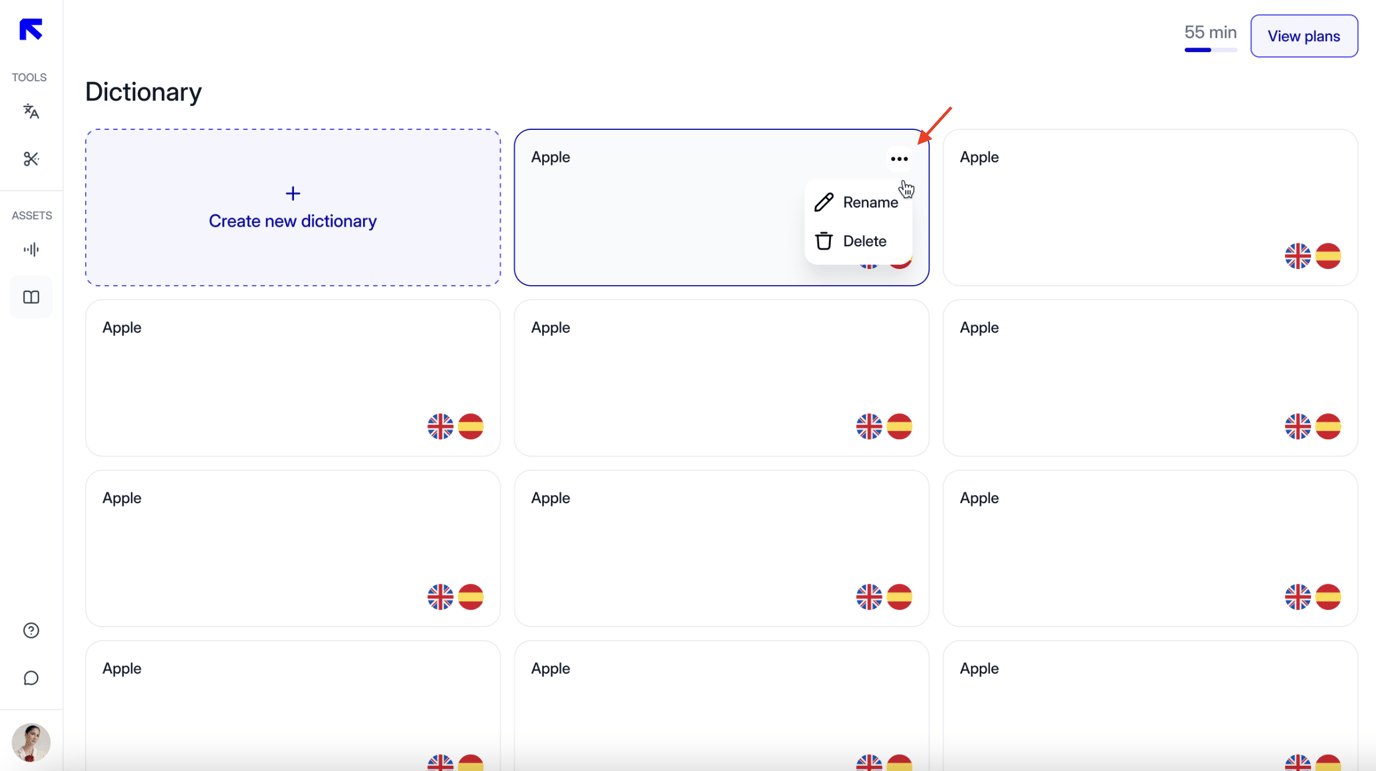 How to use Translation dictionary?